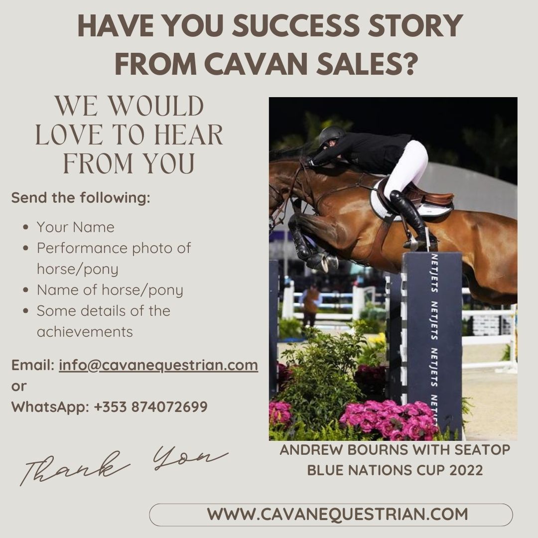 Cavan Equestrian & Performance Horse & Pony Sales